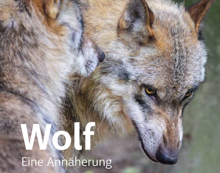 Wolf – eine Annäherung – AG Wildtiere
